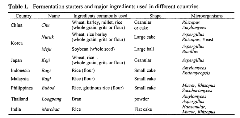 Asian Fermentation Starters: Ancient Molds Making Alcohol - DrinkingFolk