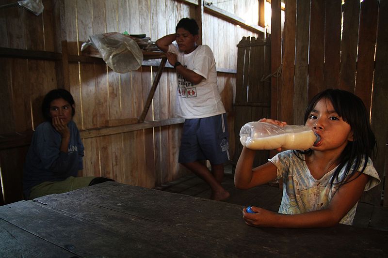 The Poison We Drink: Detoxifying Cassava by Brewing Masato in South ...