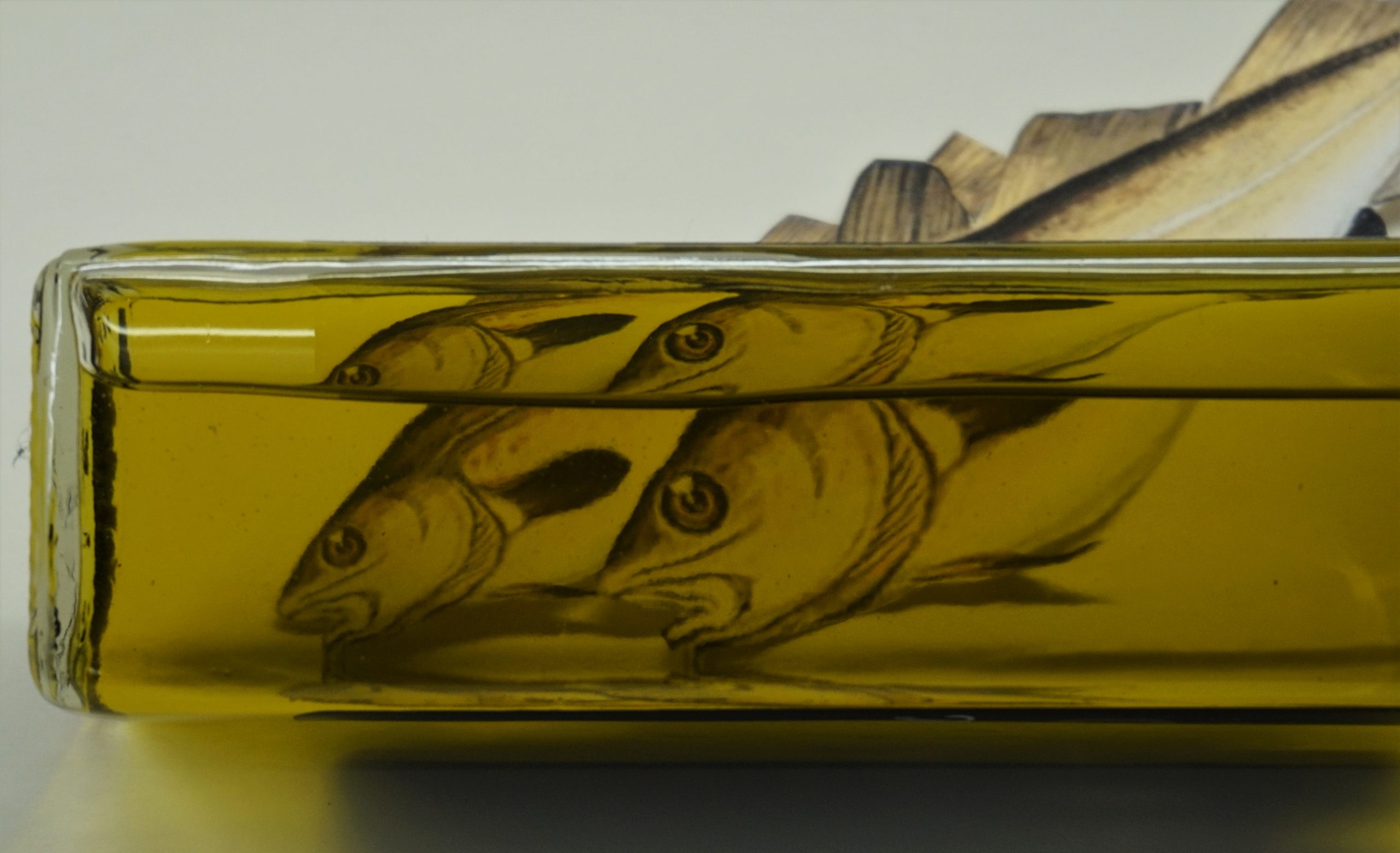 Along the North Atlantic: the Medicinal Stench of Cod Liver Oil ...